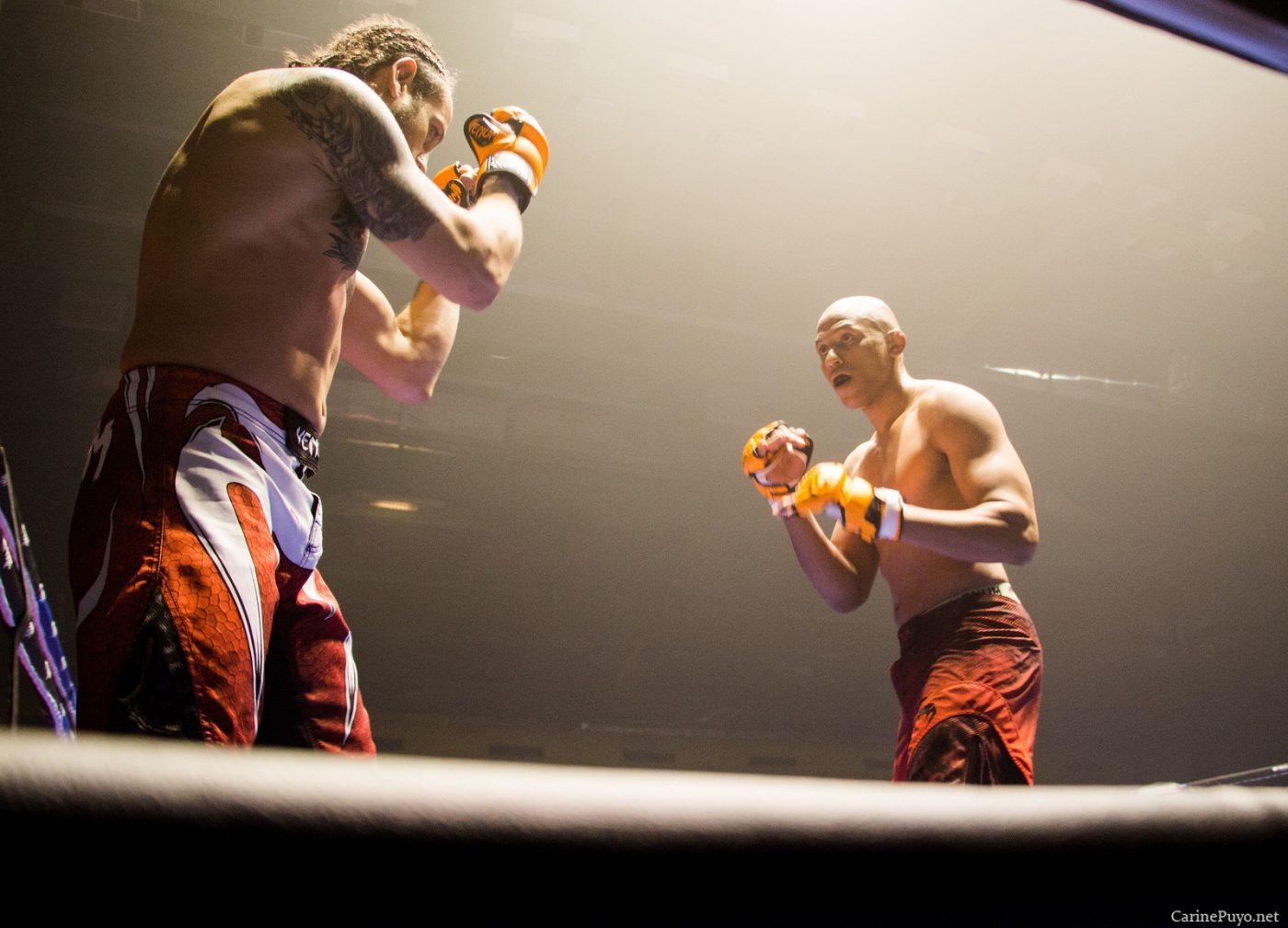 La Grande Histoire de la Boxe, Le Noble Art ! | Superprof