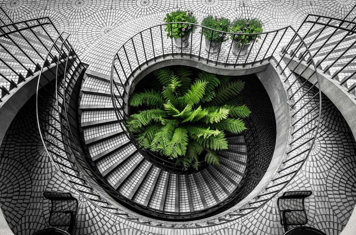 Comment Maîtriser la Photographie d'Art ? | Superprof