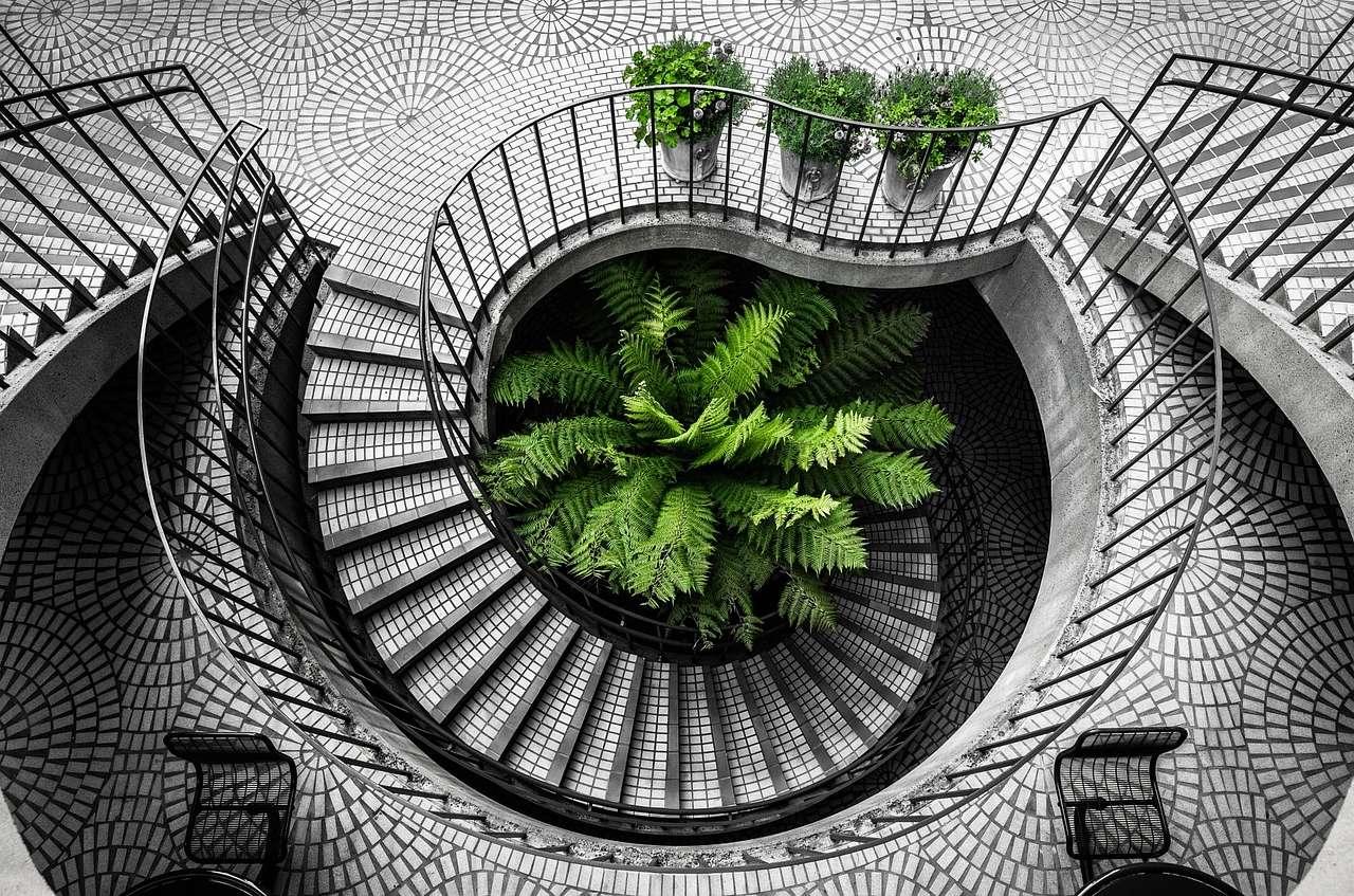 Comment Maîtriser la Photographie d'Art ? | Superprof