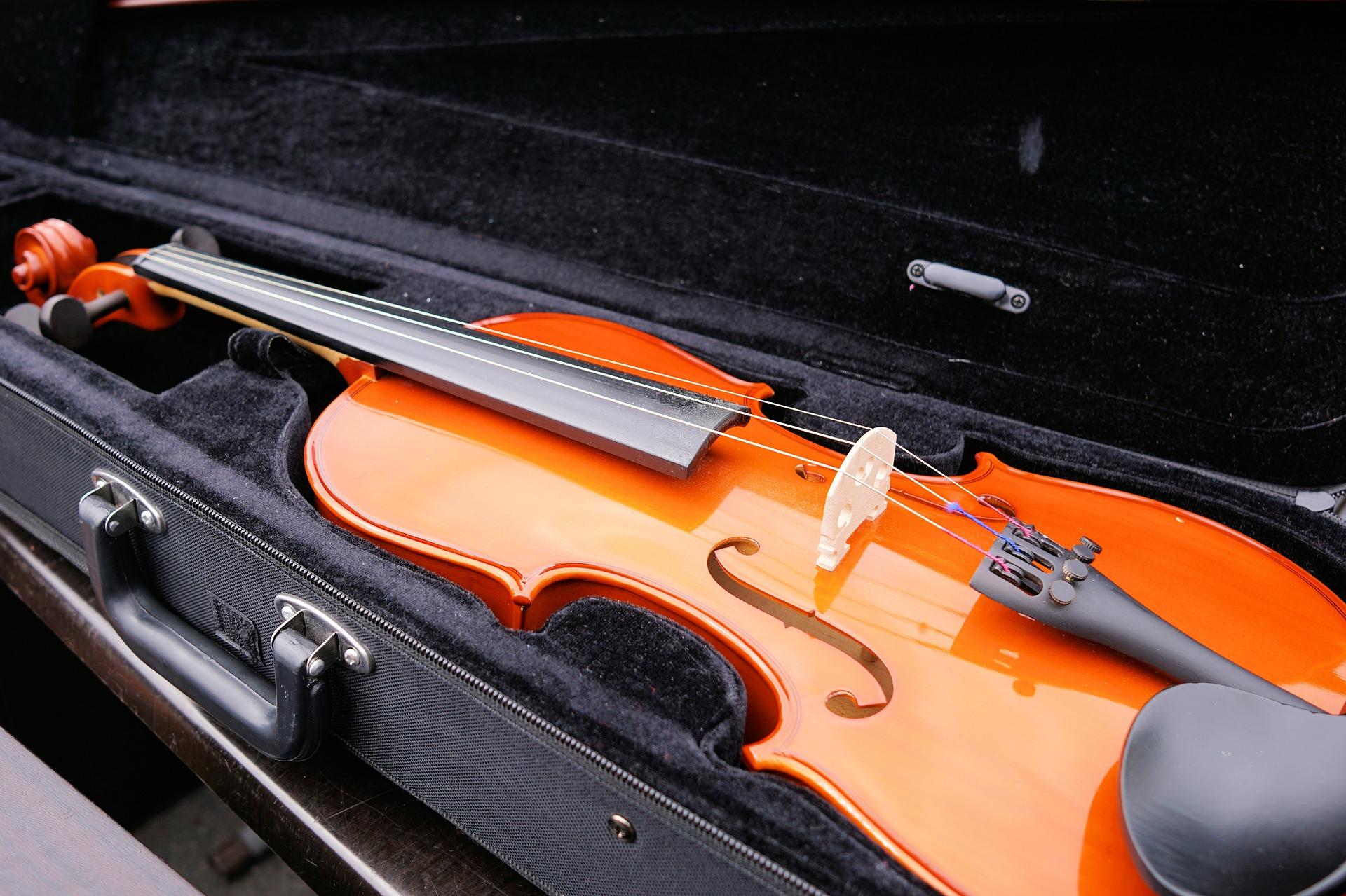 Combien Coûte le Matériel de Violon ? | Superprof