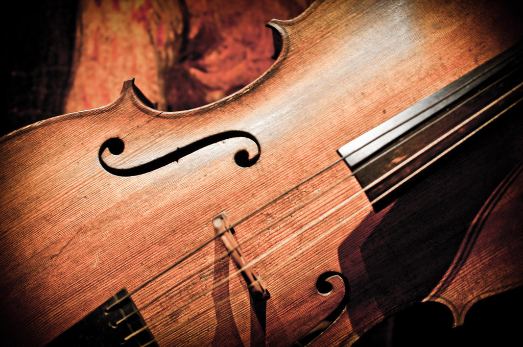 Comment Apprendre le Violon ? | Superprof