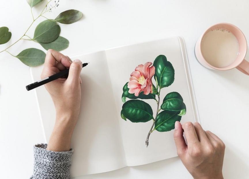 Le Guide pour Apprendre à Dessiner Plusieurs Styles