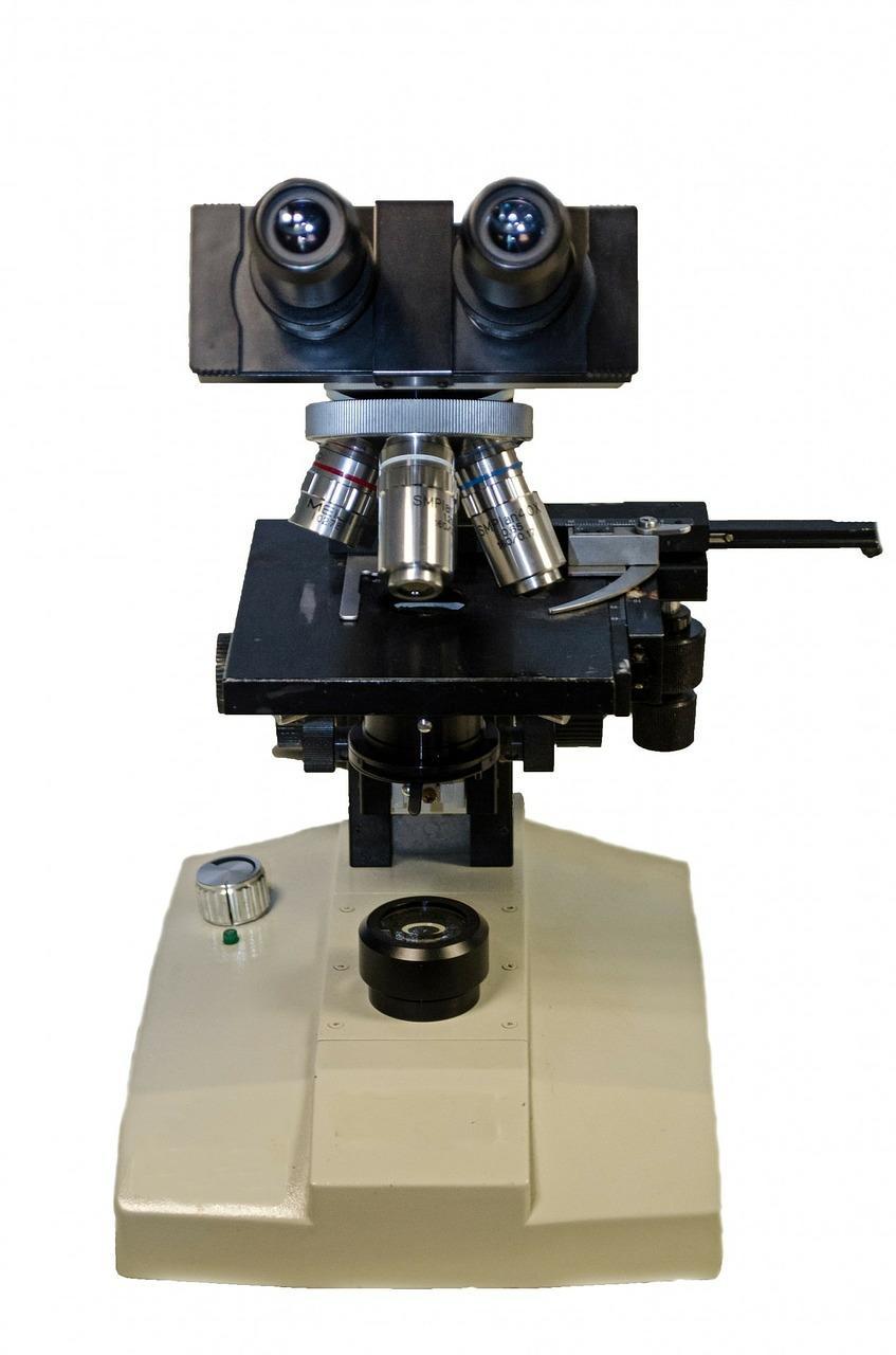Propriétés et Lois de Conservation des Transformations Chimiques