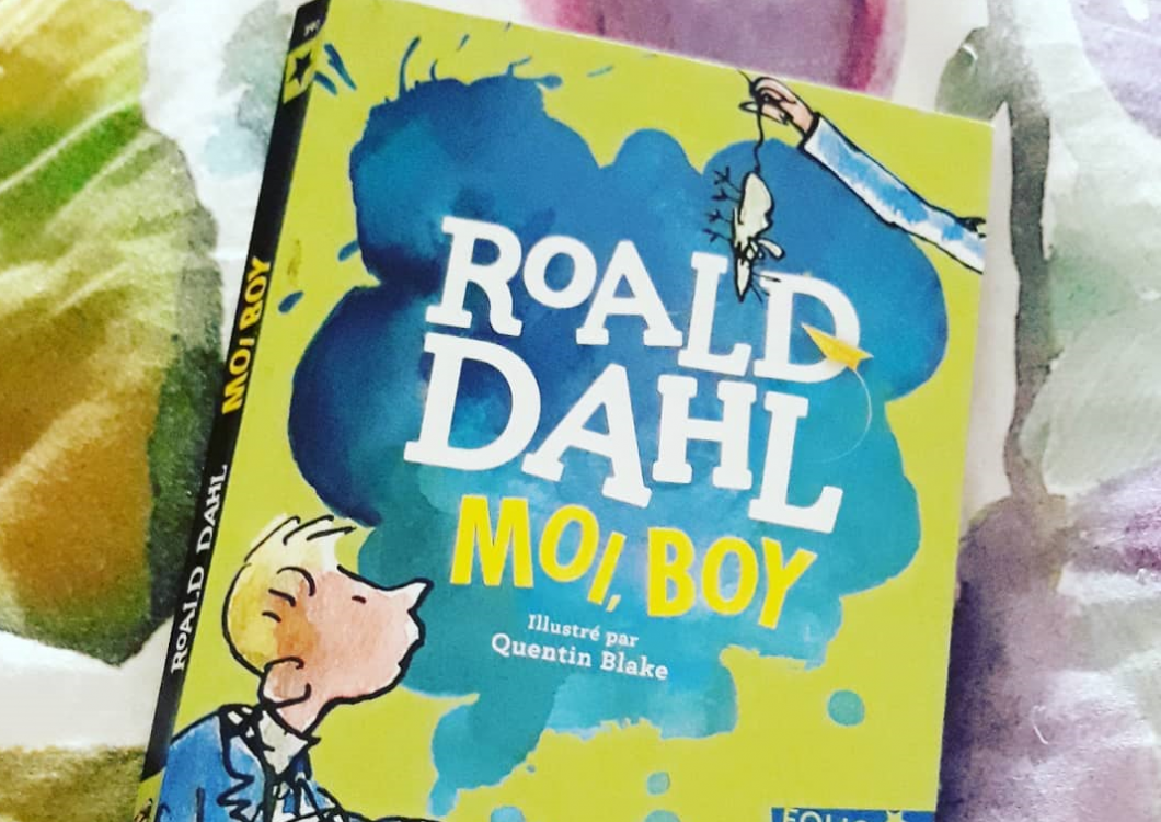 Résumé du Livre "Moi Boy" de Roald Dahl | Superprof