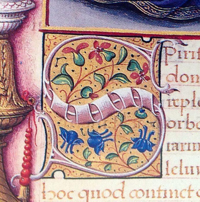 Le Futur en Latin | Superprof