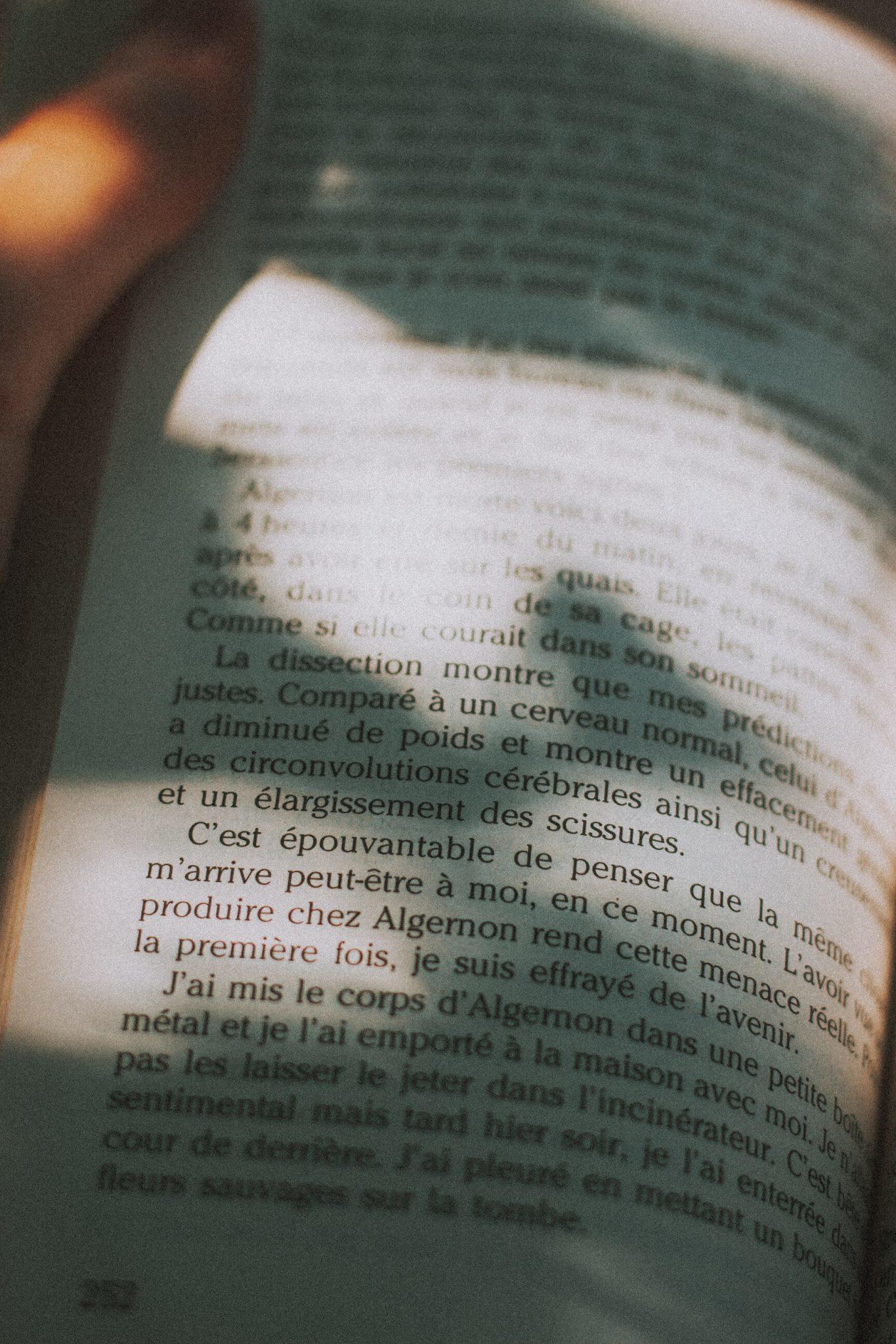 Les Modalisateurs | Superprof