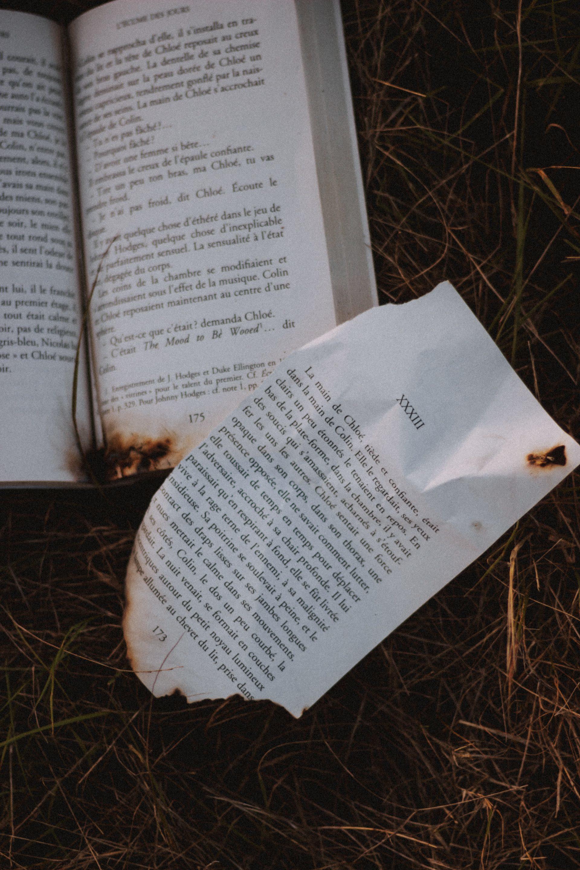 Les Différents Types de Narrateur | Superprof