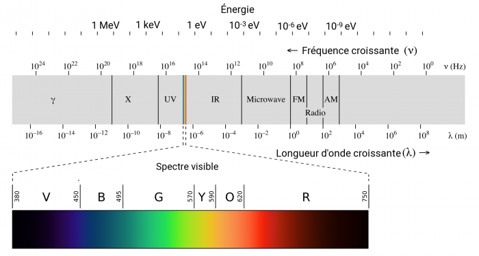 L’Œil et la Vision | Superprof