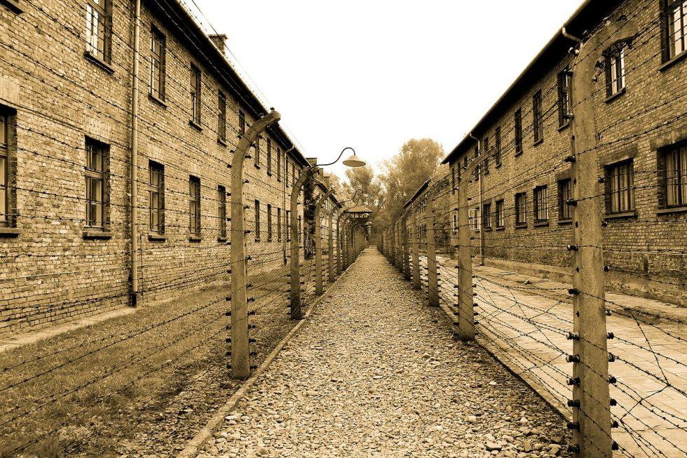 L'Organisation du Génocide des Juifs | Superprof