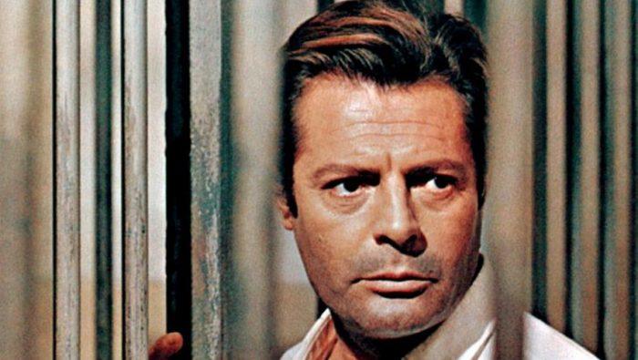 portrait de meursault