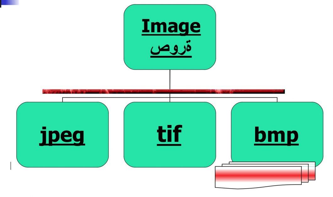 LES DIFFERENTS TYPES DE FICHIERS ET LEUR EXTENSION EN DOCUMENT PDF ...