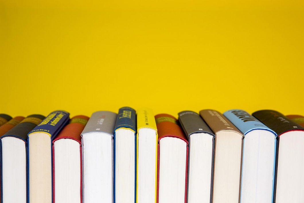 Type de Texte : Tout Savoir sur les 7 Formes de Discours
