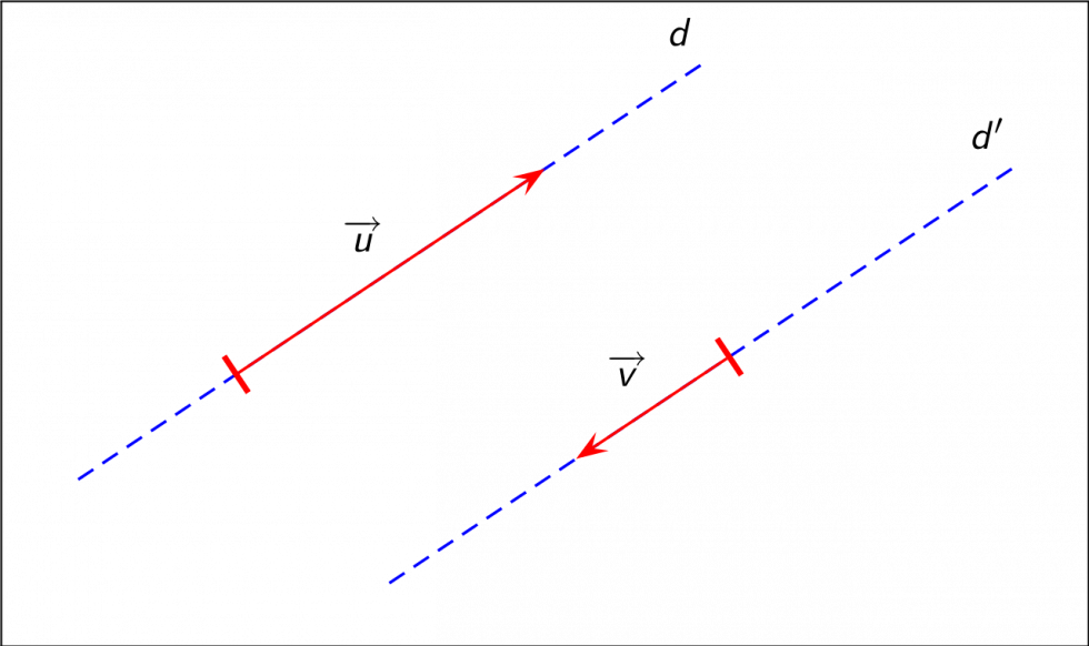 Vecteurs et Parallélogramme | Superprof