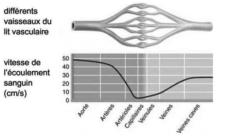 Exercice de Physique : Propager les Ondes | Superprof