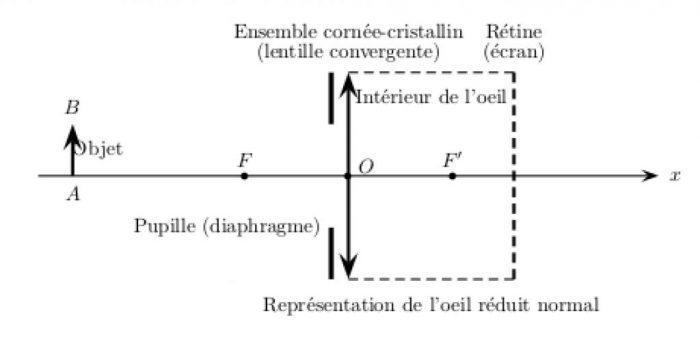 La relation de conjugaison | Superprof