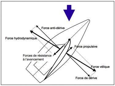 Voile : les Forces en Présence ! | Superprof