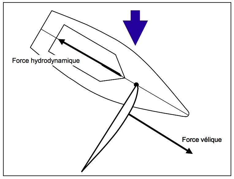 Voile : les Forces en Présence ! | Superprof