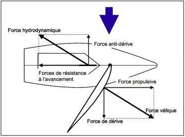 Voile : les Forces en Présence ! | Superprof