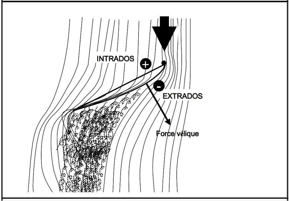 Voile : les Forces en Présence ! | Superprof