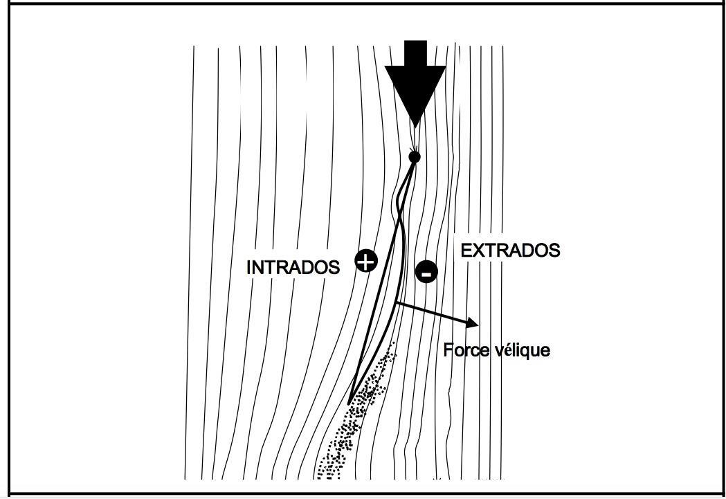Voile : les Forces en Présence ! | Superprof