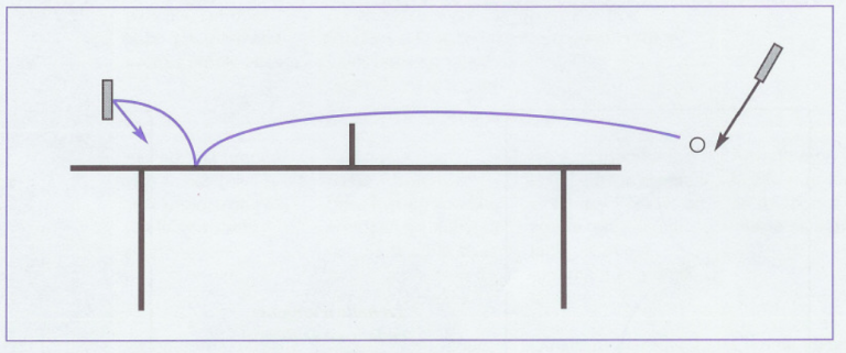 Tennis de Table Technique : Coup Droit, Lift, Trajectoire...