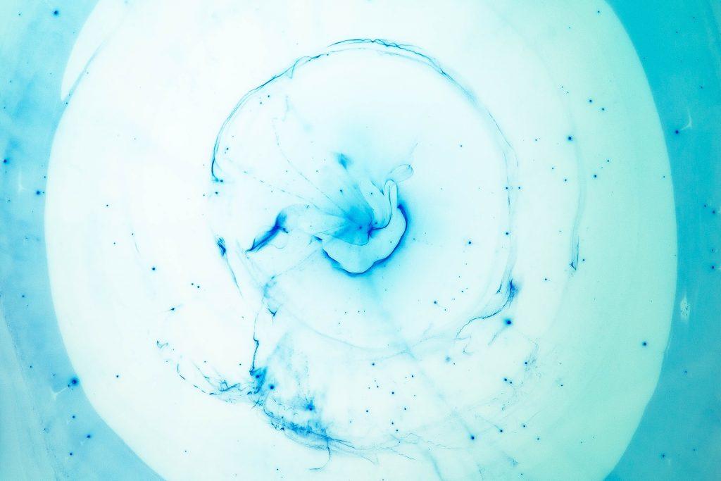 Schéma Mitose et ses Quatre Phases | Superprof