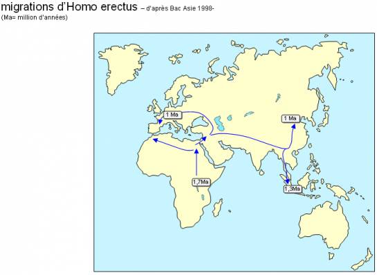Les Migrations de l'Homme Préhistorique