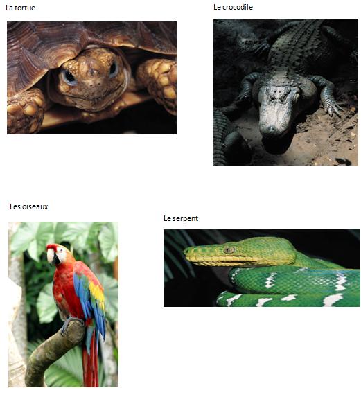 Les Ovipares et les Vivipares