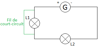 Les Deux Types de Circuit