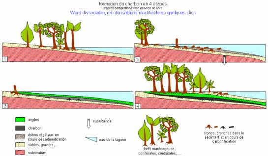 La Formation du Charbon en 4 Étapes | Superprof