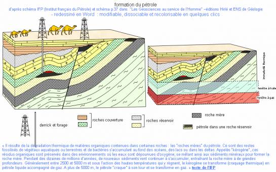 Coupe Géologique de la Formation du Pétrole | Superprof
