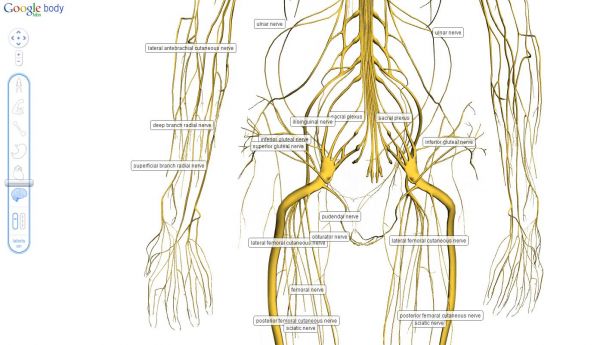 Explorer l'Intérieur de l'Homme