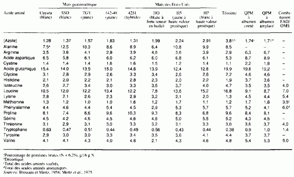 Composition Chimique du Maïs | Superprof
