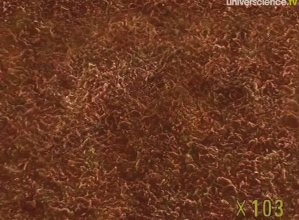 L'Argile et sa Structure