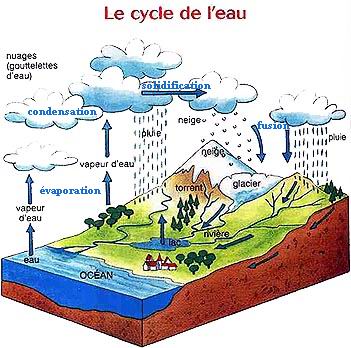 Les Cycles de l'Eau
